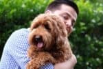 101 Best FAT Dog Names! (Actually GOOD) - Oodle Life