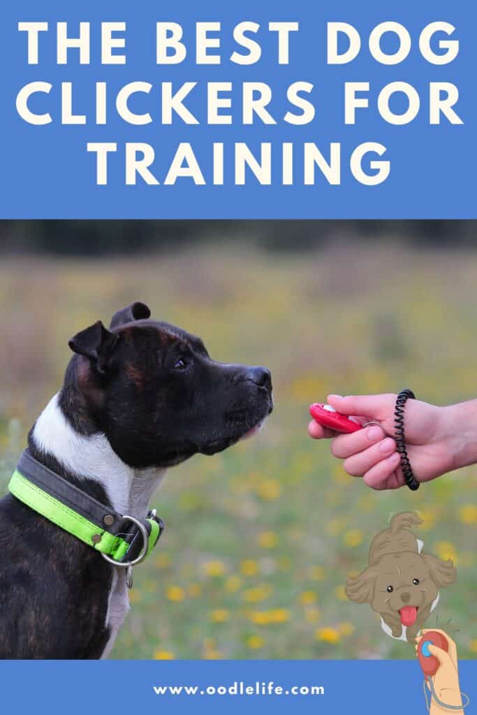 How To Use A Dog Clicker Correctly