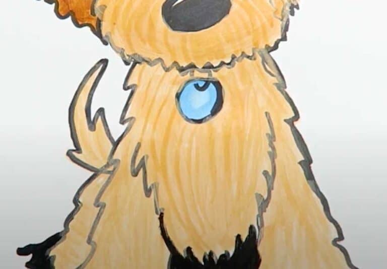 How To Draw A Goldendoodle (Step By Step) - Oodle Life