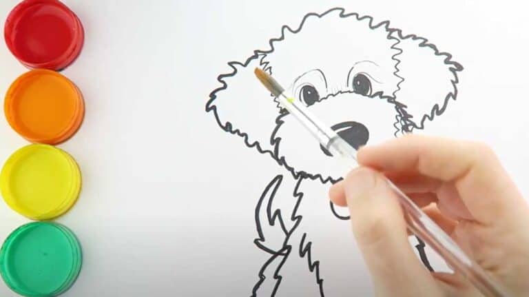 How To Draw A Goldendoodle (Step By Step) - Oodle Life