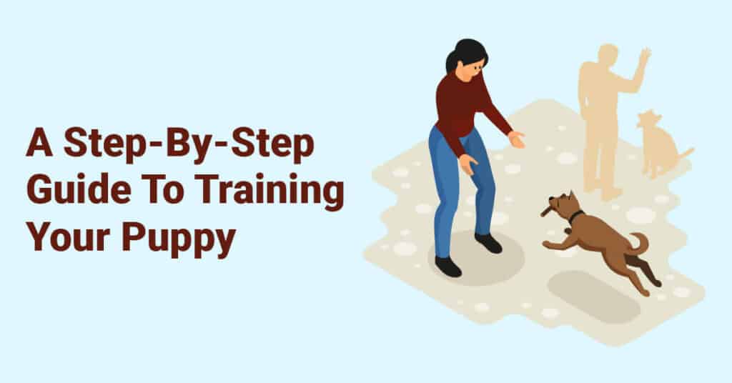 A Step-By-Step Guide To Training Your Puppy - Oodle Life