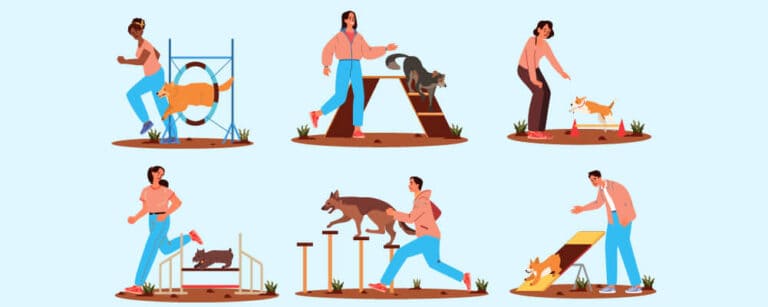 A Step-By-Step Guide To Training Your Puppy - Oodle Life