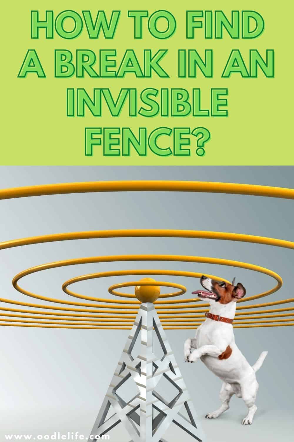 how-to-find-a-break-in-an-invisible-fence-oodle-life