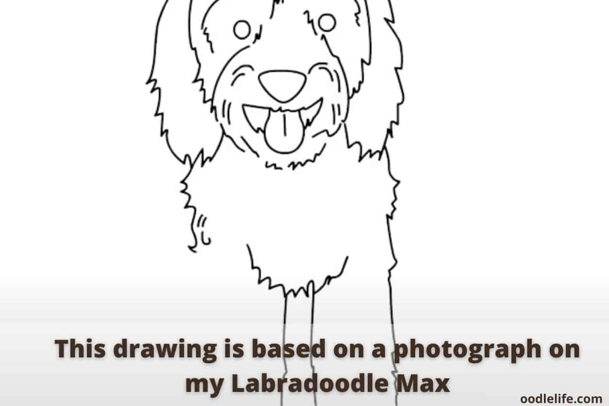 Cute and Easy Labradoodle Puppies to Draw Cute and Easy Labradoodle ...