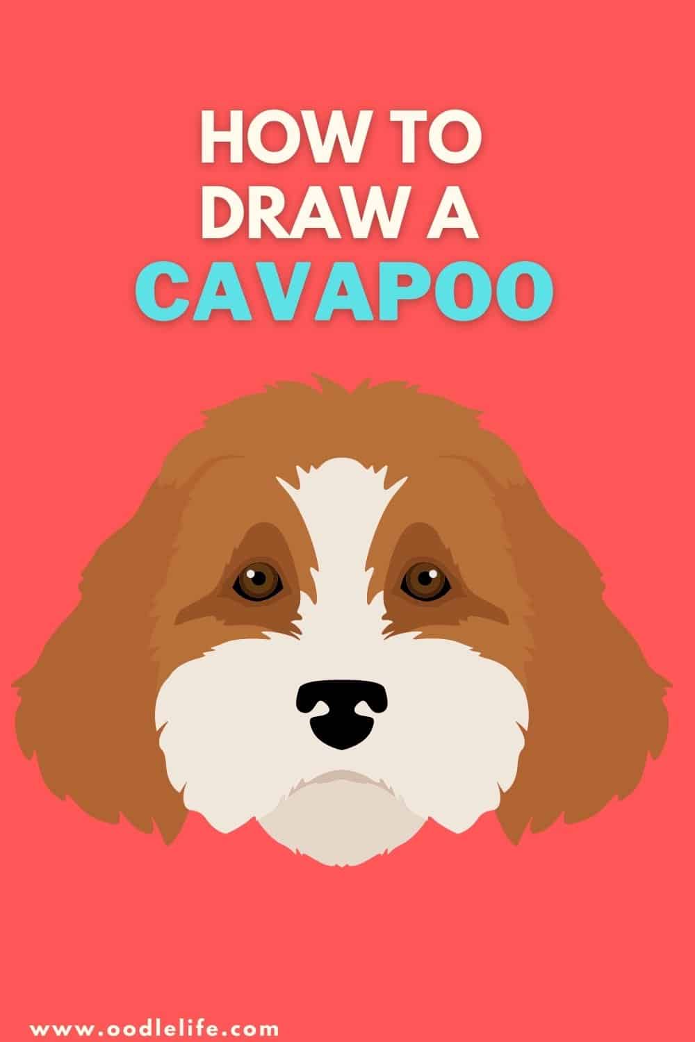 How To Draw A Cavapoo Puppy (Steps And Video) - Oodle Life