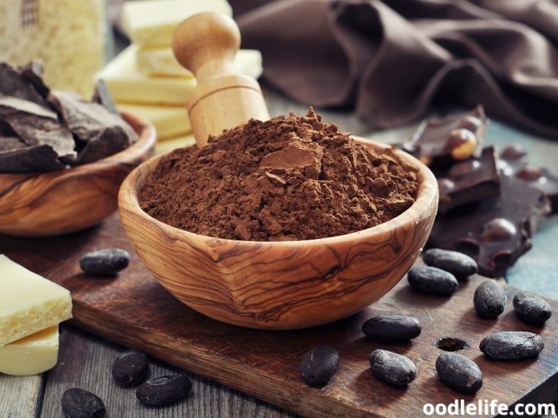 11 Spices That Can Kill Dogs (Kitchen Warning) - Oodle Life