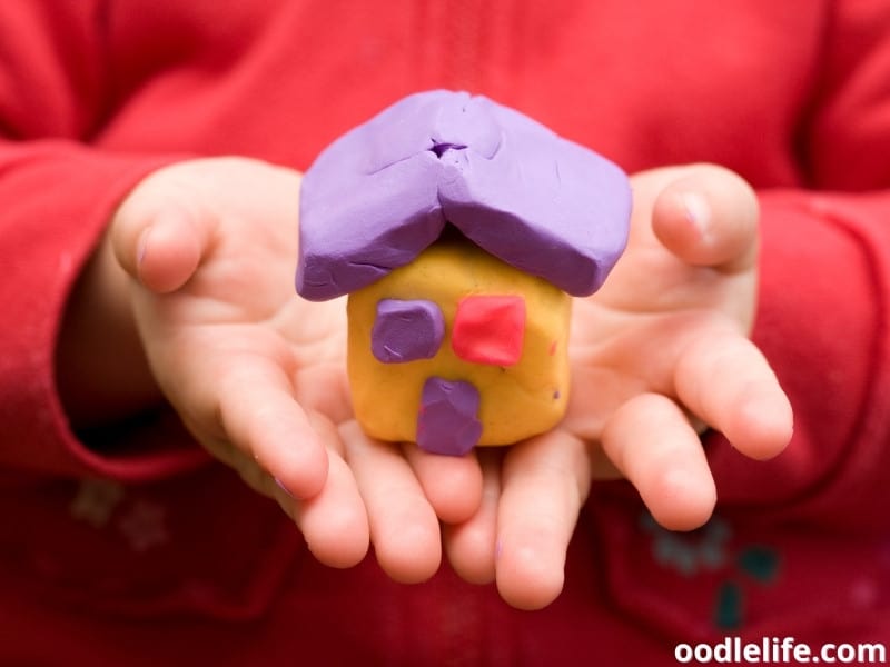 help-my-dog-ate-play-doh-is-it-toxic-oodle-life