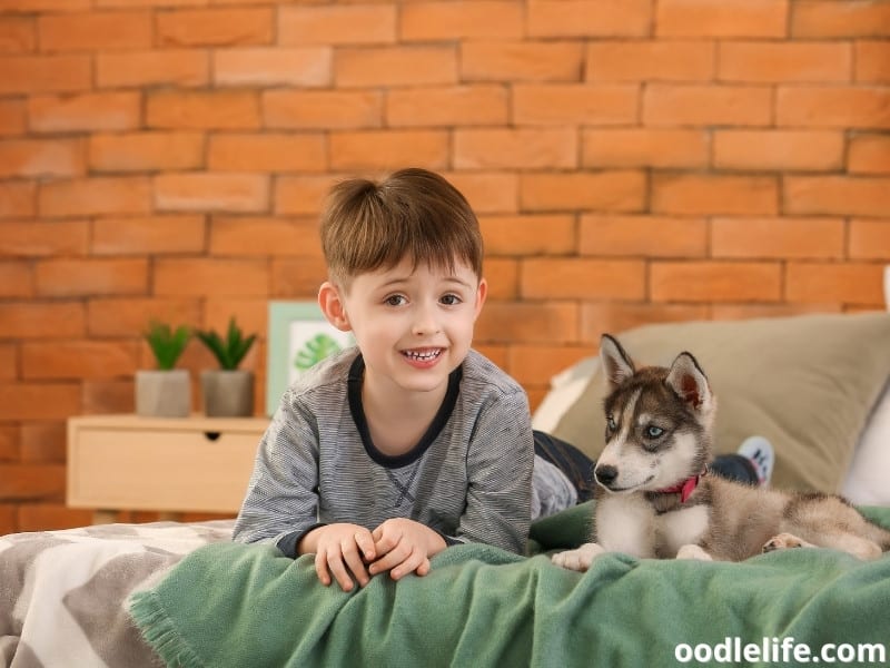 Are Alaskan Husky Good With Kids