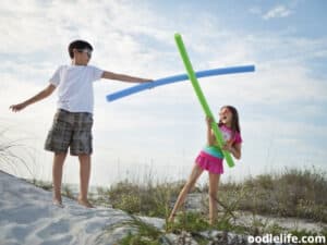 2 Ways To Make Pool Noodle Dog Collar - Oodle Life