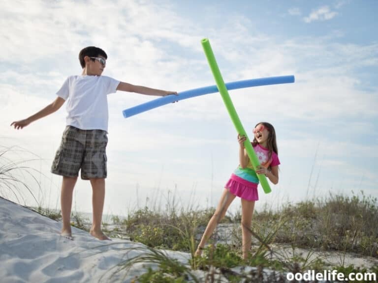 2 Ways To Make Pool Noodle Dog Collar - Oodle Life