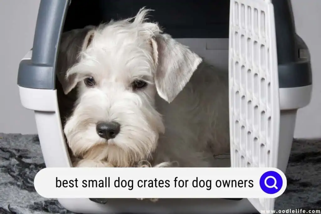 Best Small Dog Crates For Dog Owners (2025) - OodleLife® Best Small Dog Crates For Dog Owners (2025) - OodleLife®