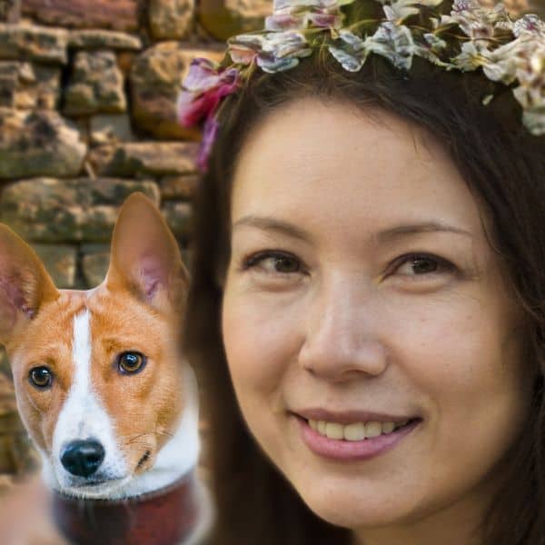 Basenji Dog Breed Guide (101, Photos, Puppies) - Oodle Life