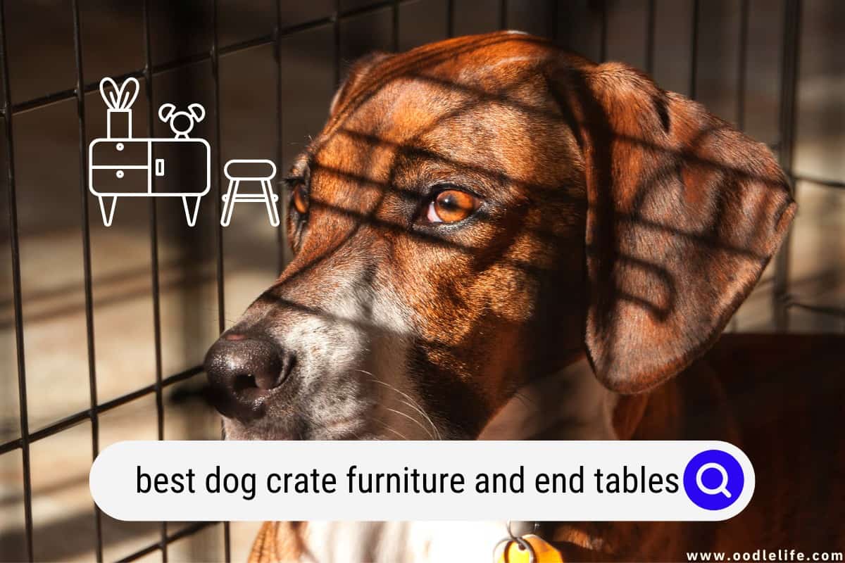 7 Best Dog Crate Furniture And End Tables (2025 Update) - OodleLife®