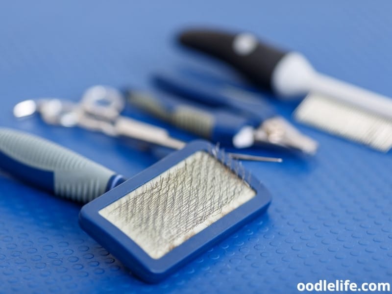 The Chris Christensen Brush Review (2024) - Oodle Life