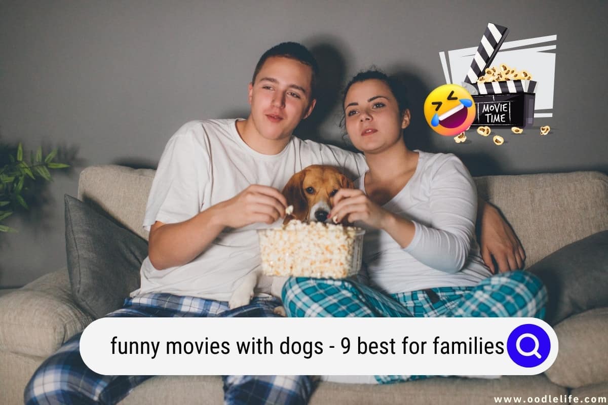 Funny Movies With Dogs (9 Best For Families) - OodleLife®