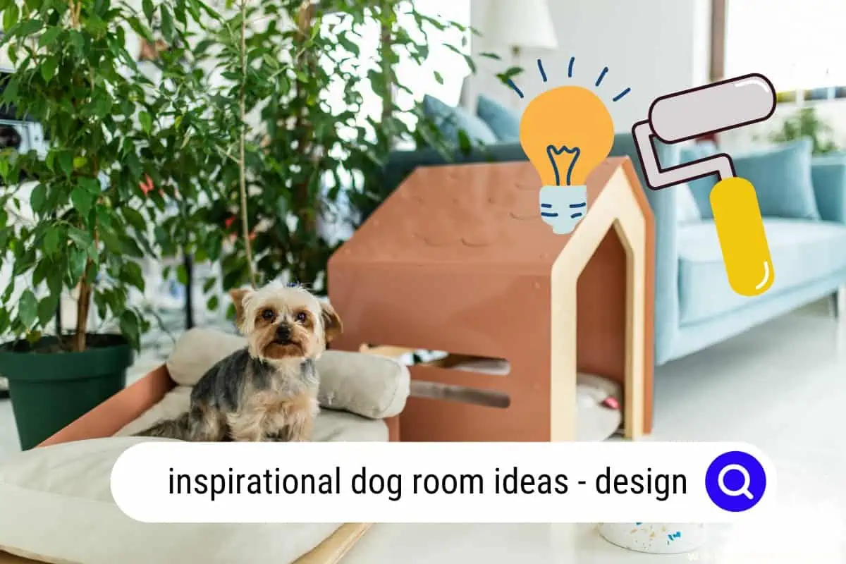 Inspirational Dog Room Ideas (Design) - Oodle Life