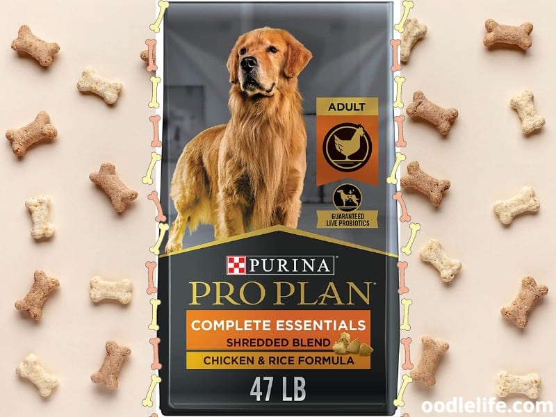 Purina Pro Plan Vs Science Diet (2024) Unbiased Comparison - OodleLife®